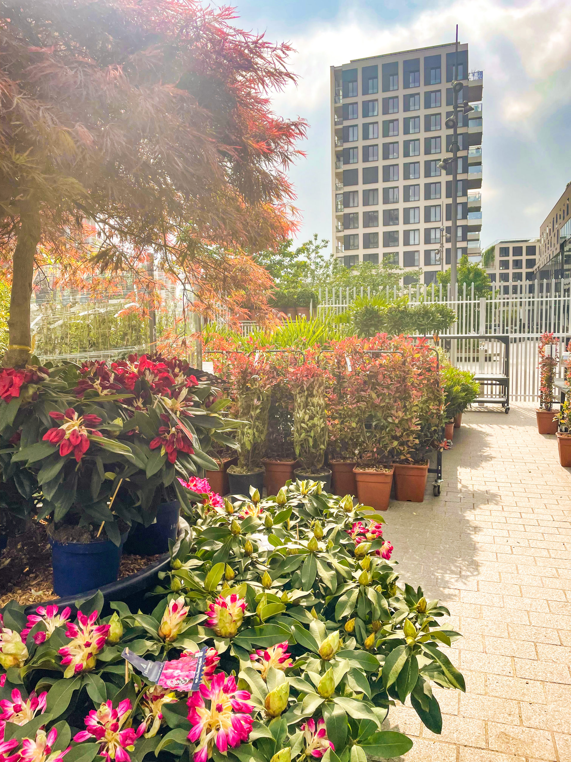 Truffaut et son nouveau magasin au cœur de Paris - Fresh Mag Paris