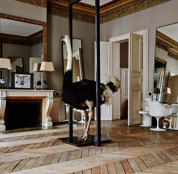 David Mallett, le salon iconique de Paris - Fresh Mag Paris