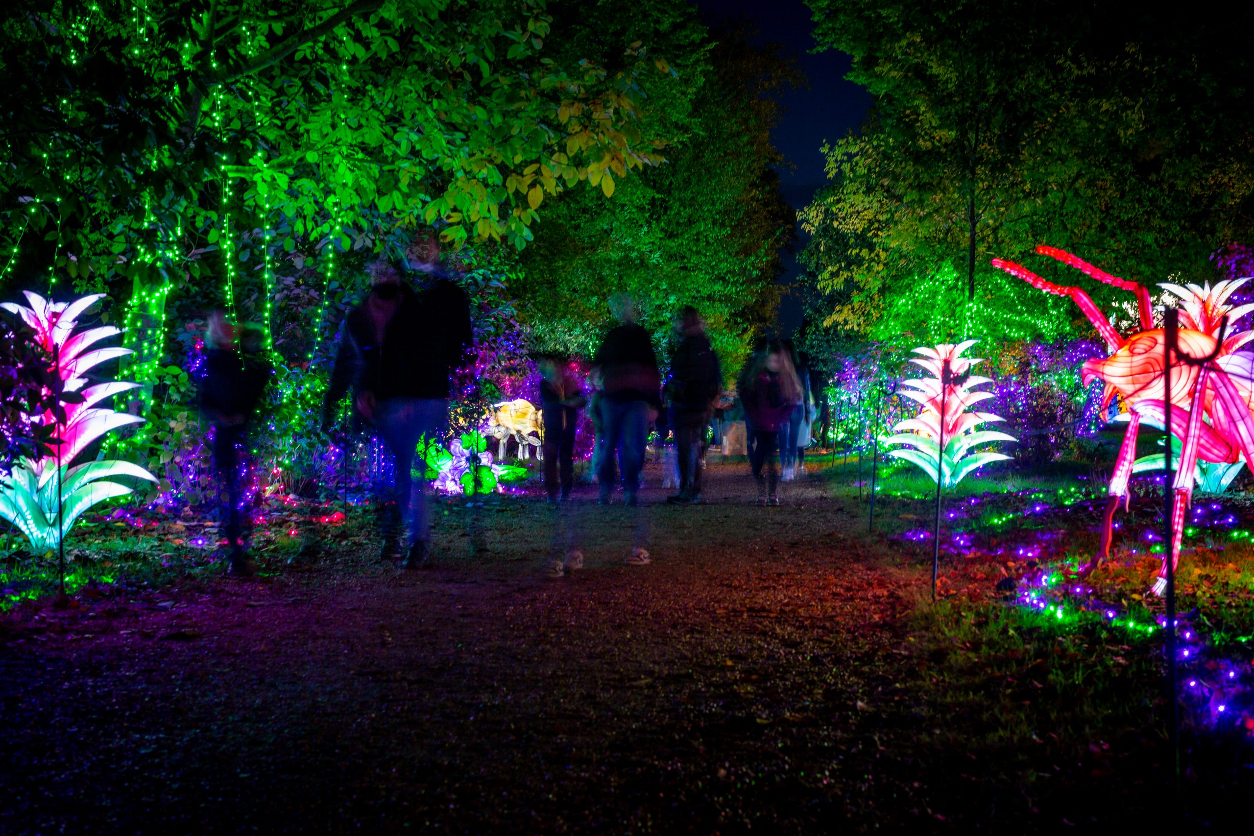 La cinquième édition de Thoiry Lumières Sauvages - Fresh Mag Paris