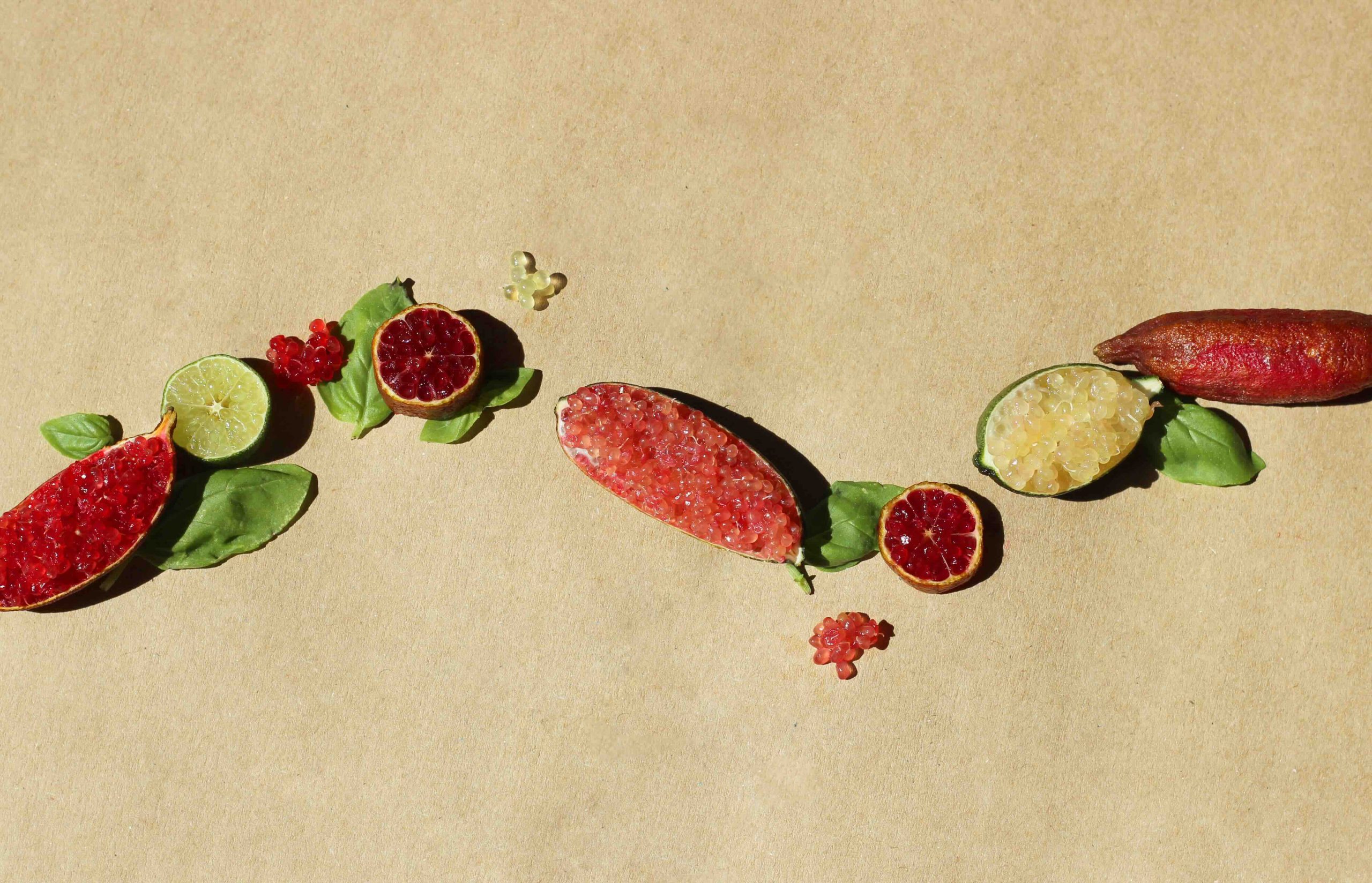 Fruits at Home : Sublimez vos plats avec le citron caviar ! - Fresh Mag ...